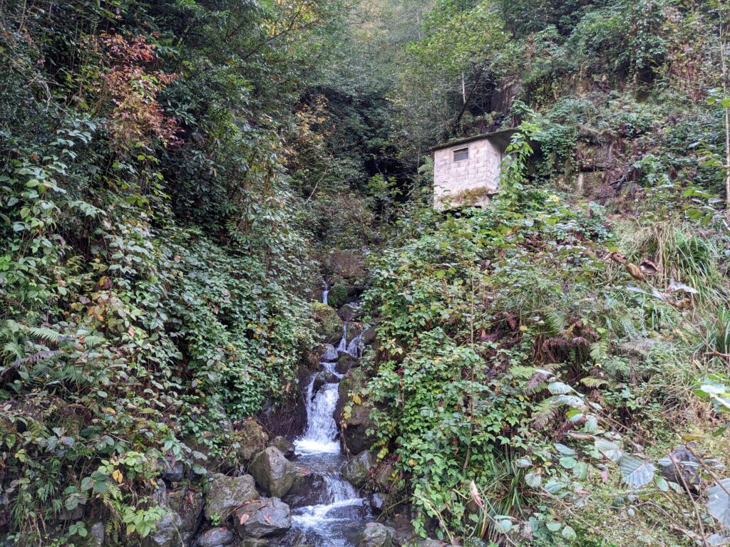 Traditional ecological knowledge: our heritage and our survival strategy