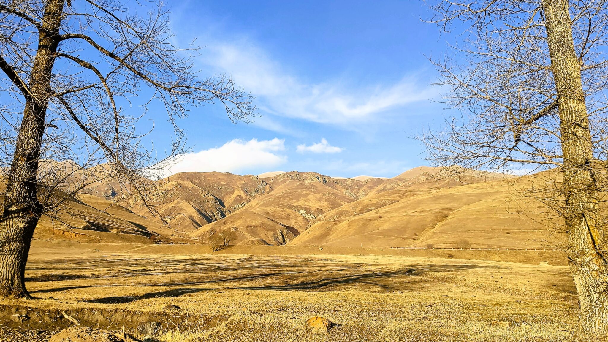 Dilijan National Park – a refuge for the threatened forests of Armenia ...