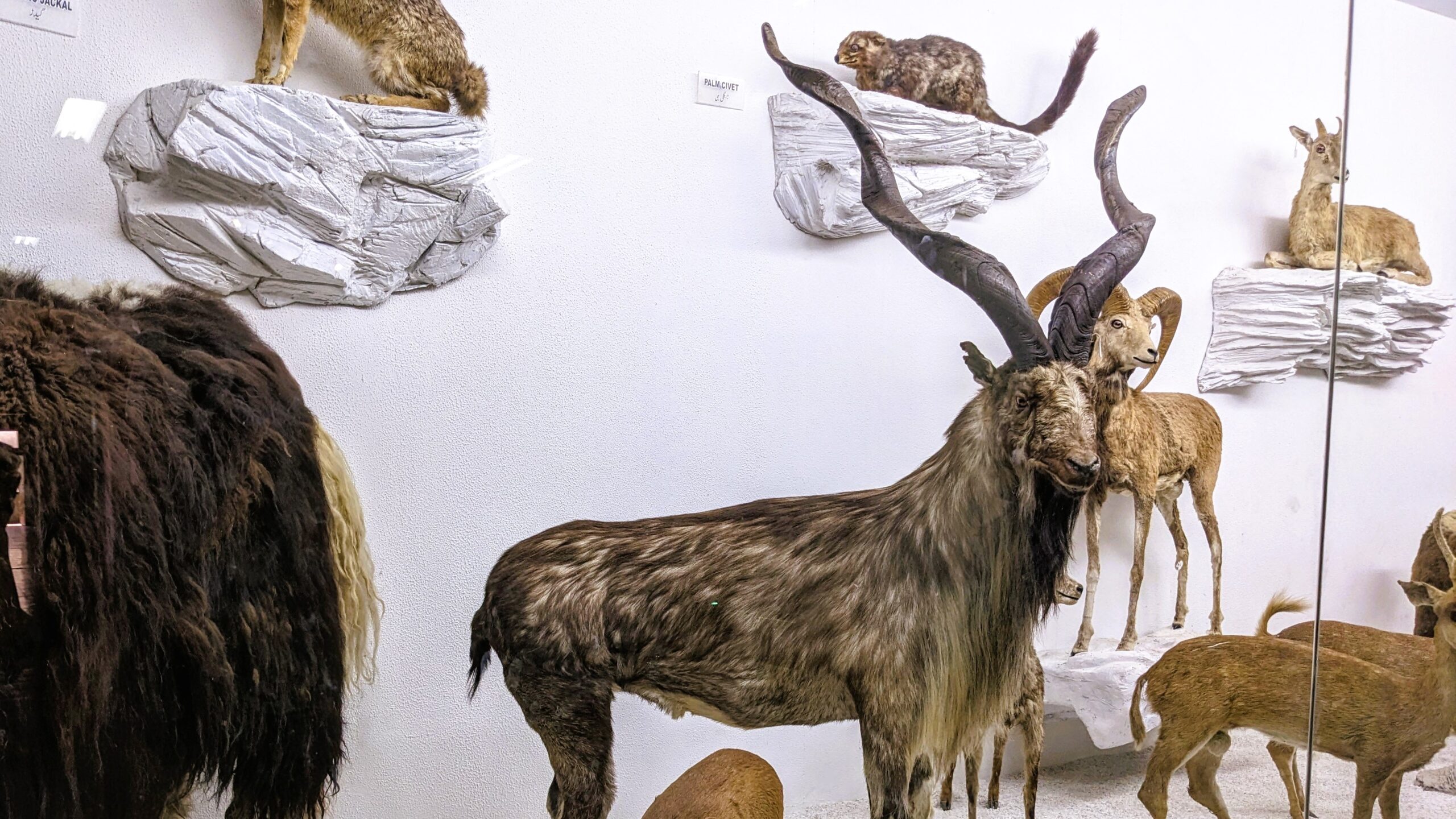 Trophy hunting as a conservation tool - biking4biodiversity.org