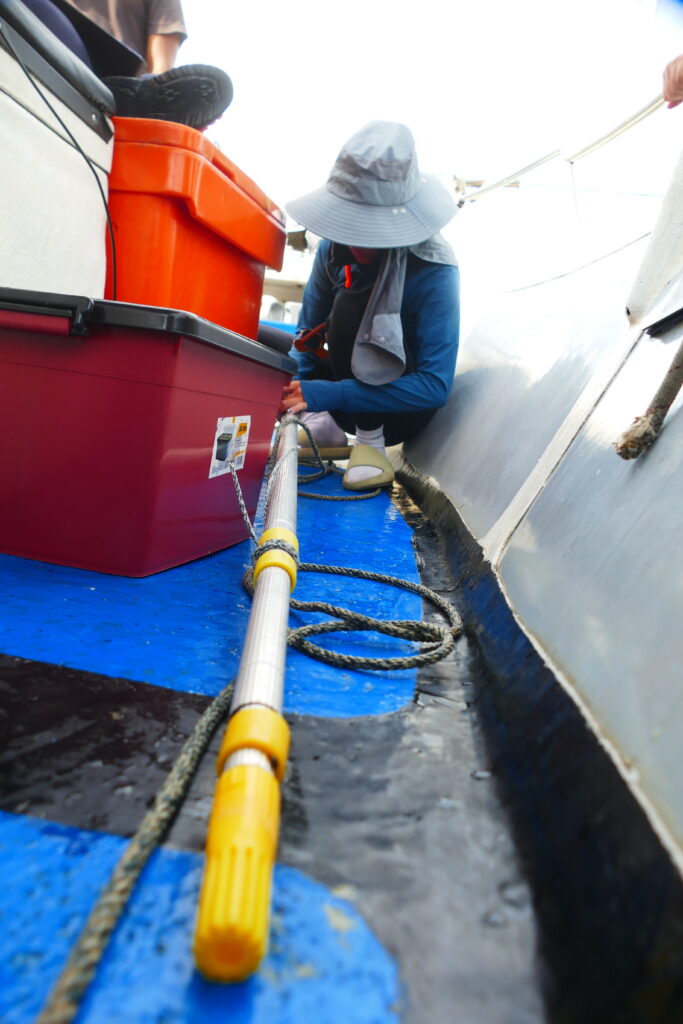 Guardians of the blue: MareCet’s quest to save Malaysia’s marine ...