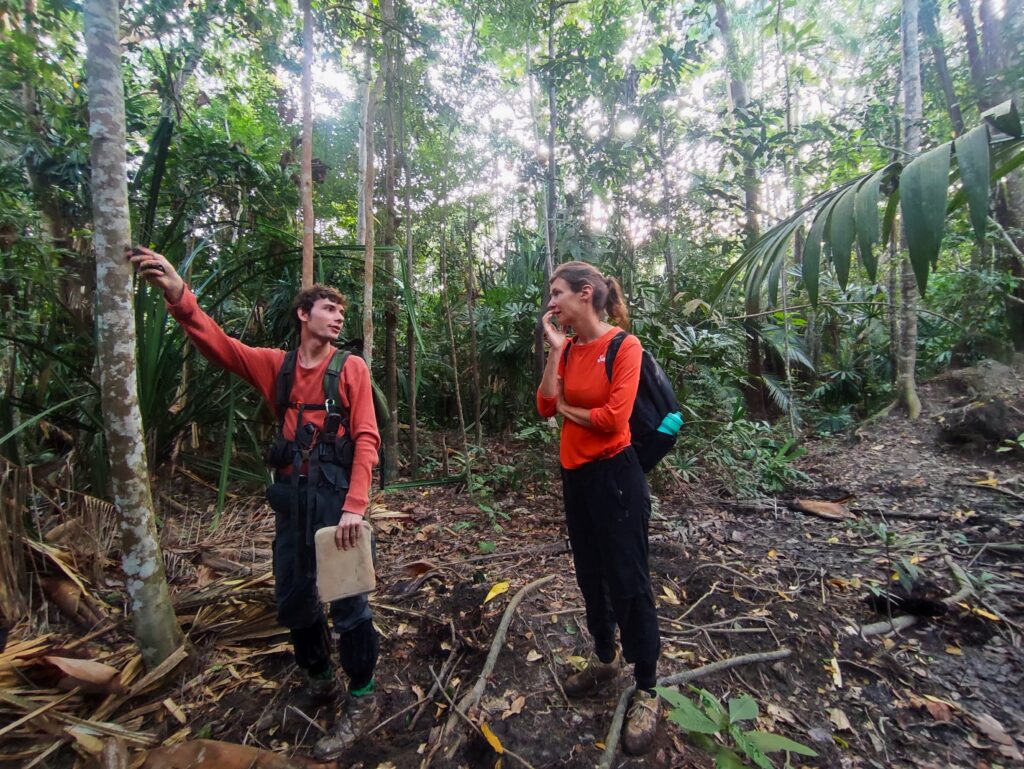 Rat-hunting macaques: a greener solution for rodent pest control in ...