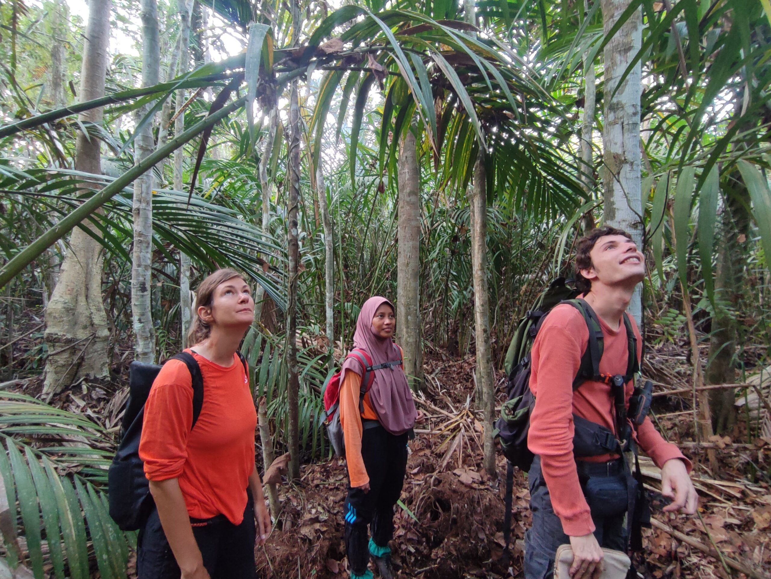 Rat-hunting macaques: a greener solution for rodent pest control in ...